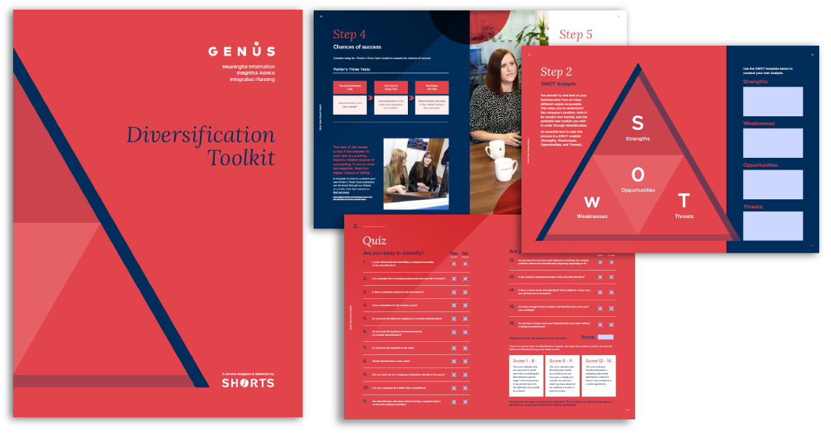 Business Diversification Strategy – The Best Examples | Blog Hồng