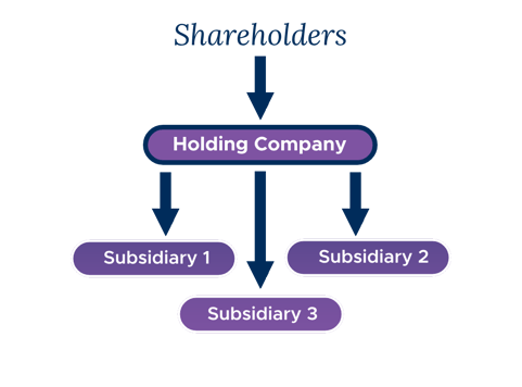 Holding Company Explained - Benefits, Purpose & Eligibility