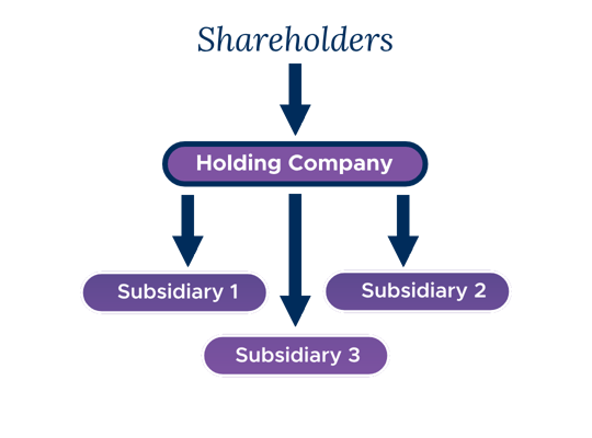 What is a Group Company Structure?